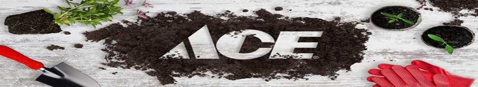 Ace Hardware Shopper Stopper - Boulder City, NV